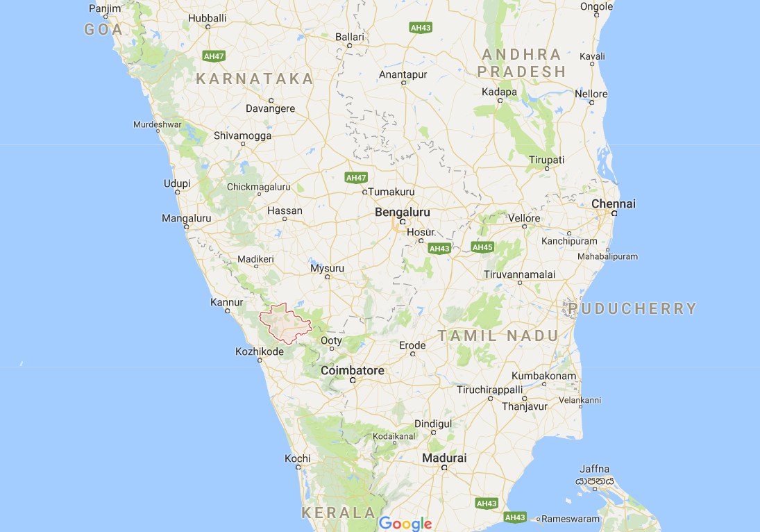 Wayanad – Magical destination for the eco-diversity adventurer - Asia Times