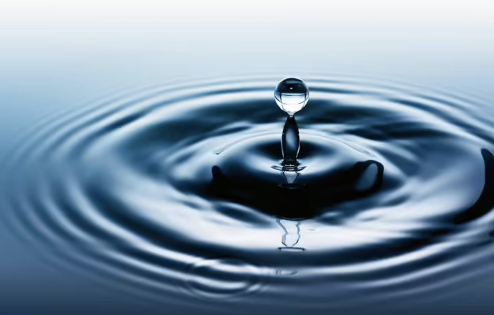 WSSO announces regenerated water award - Asia Times