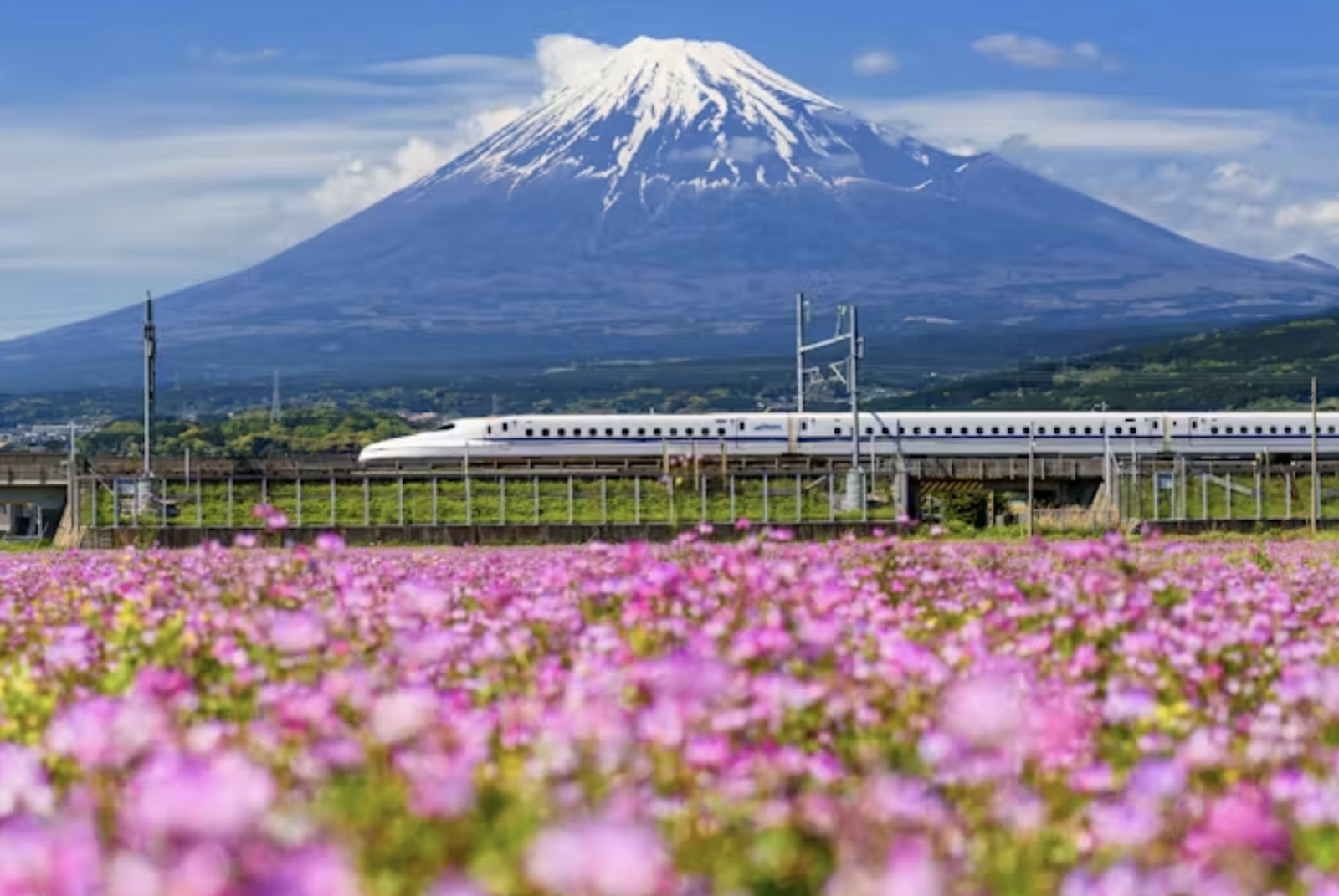 Is the shine coming off Japan's bullet trains? - Asia Times