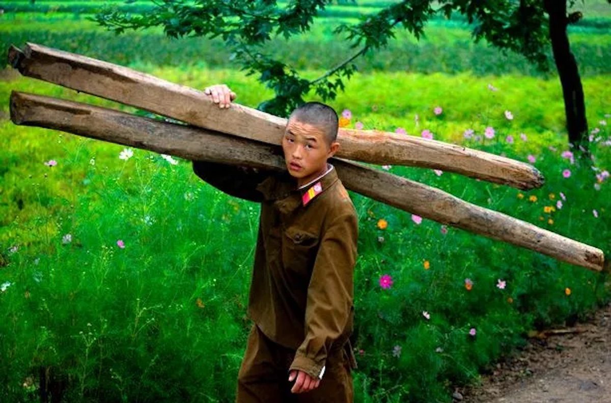 Kim Jong Un’s new line more bark than bite - Asia Times