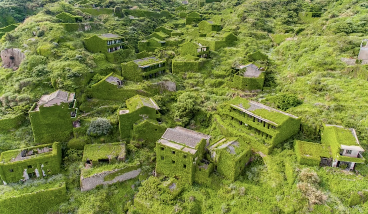 Global depopulation: saving the Earth while killing the economy? - Asia ...