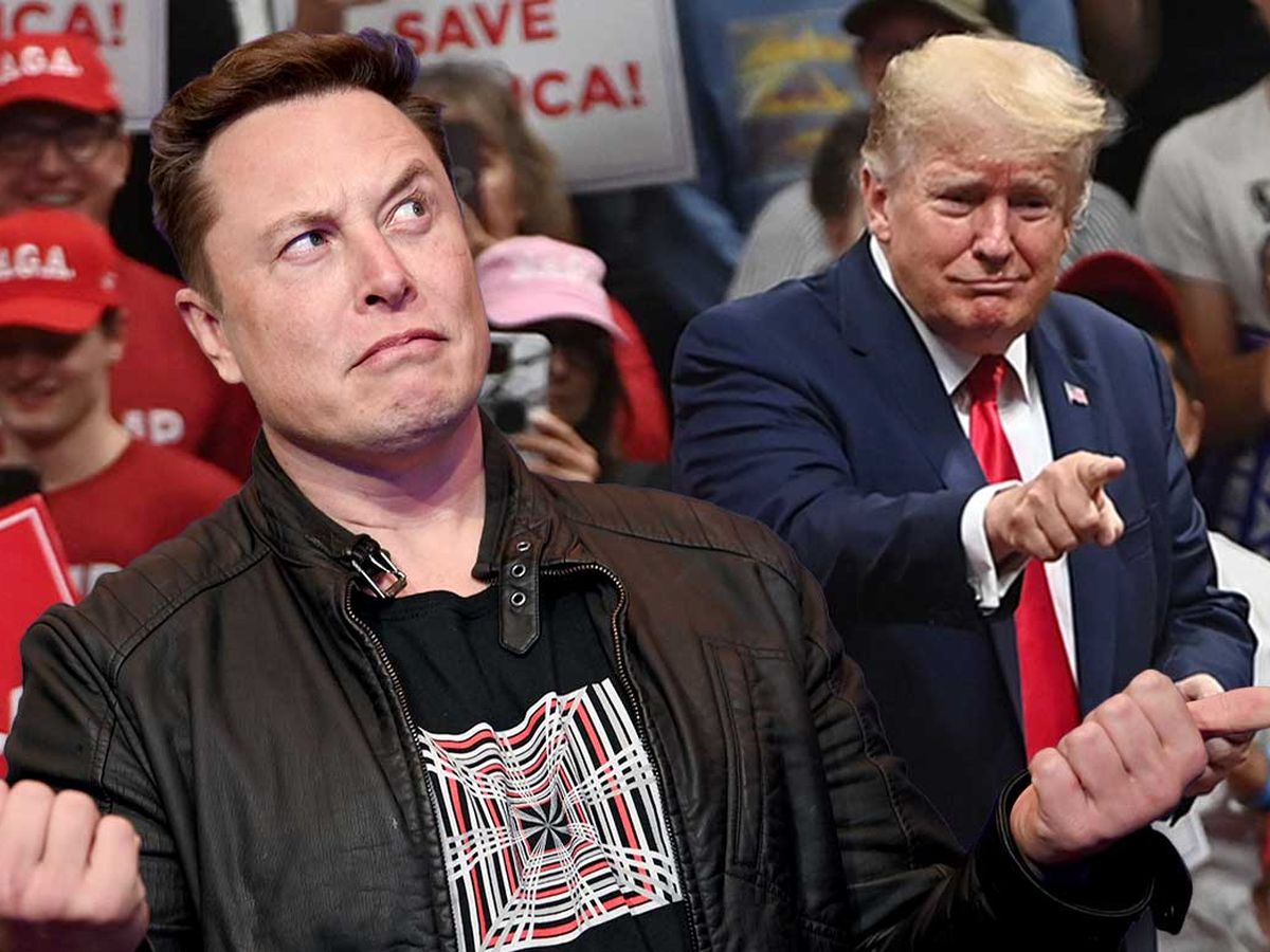 Musk as Trump's unchained foreign policy disruptor-in-chief - Asia Times