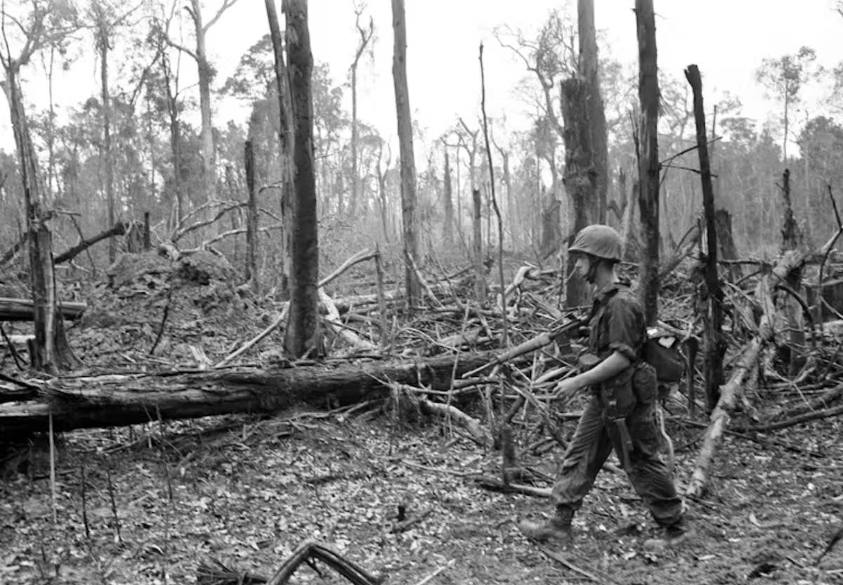 50 years on, Vietnam War's ecocide still not healed - Asia Times